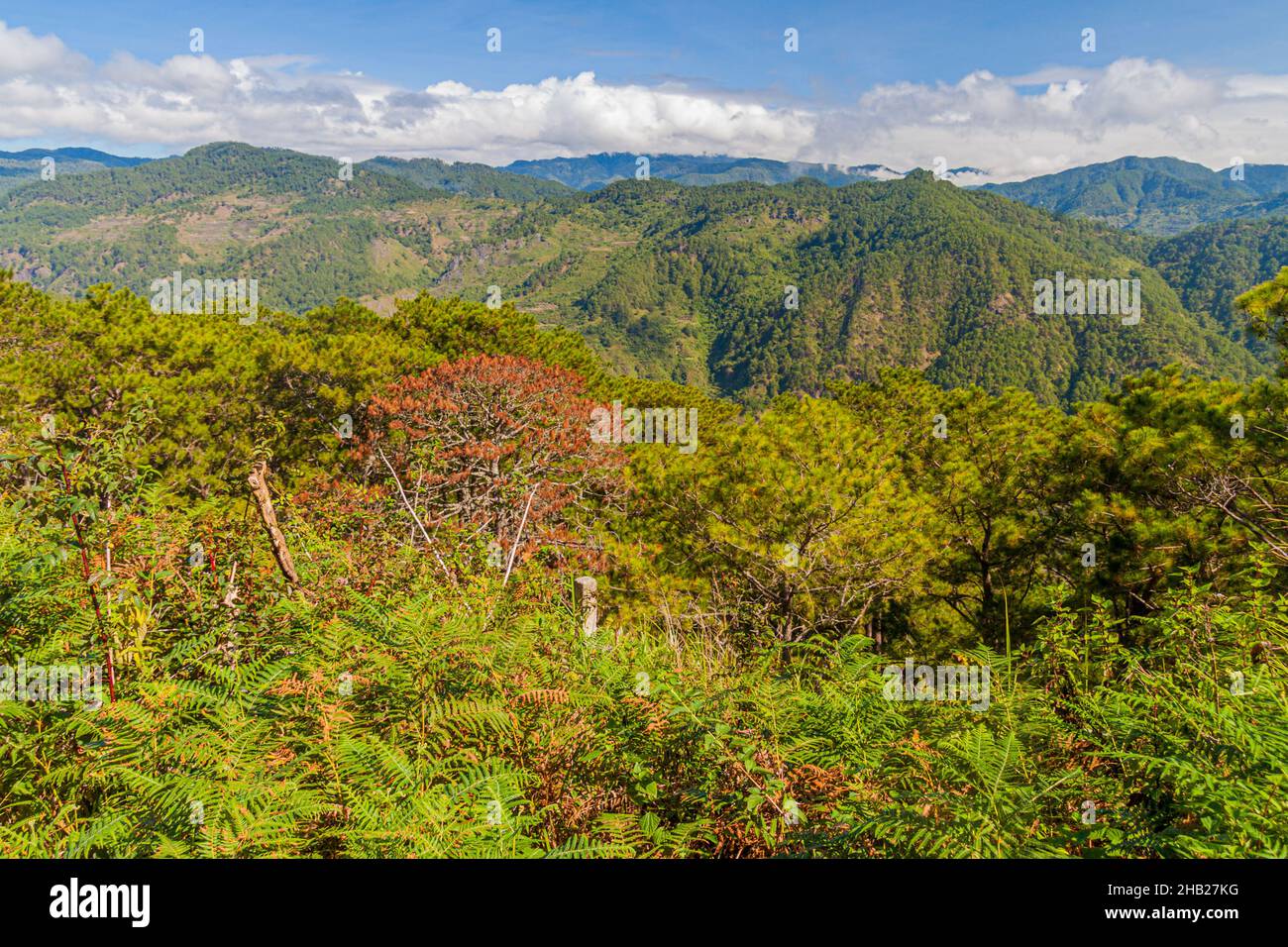 Landscape around Sagada village on Luzon island, Philippines Stock ...