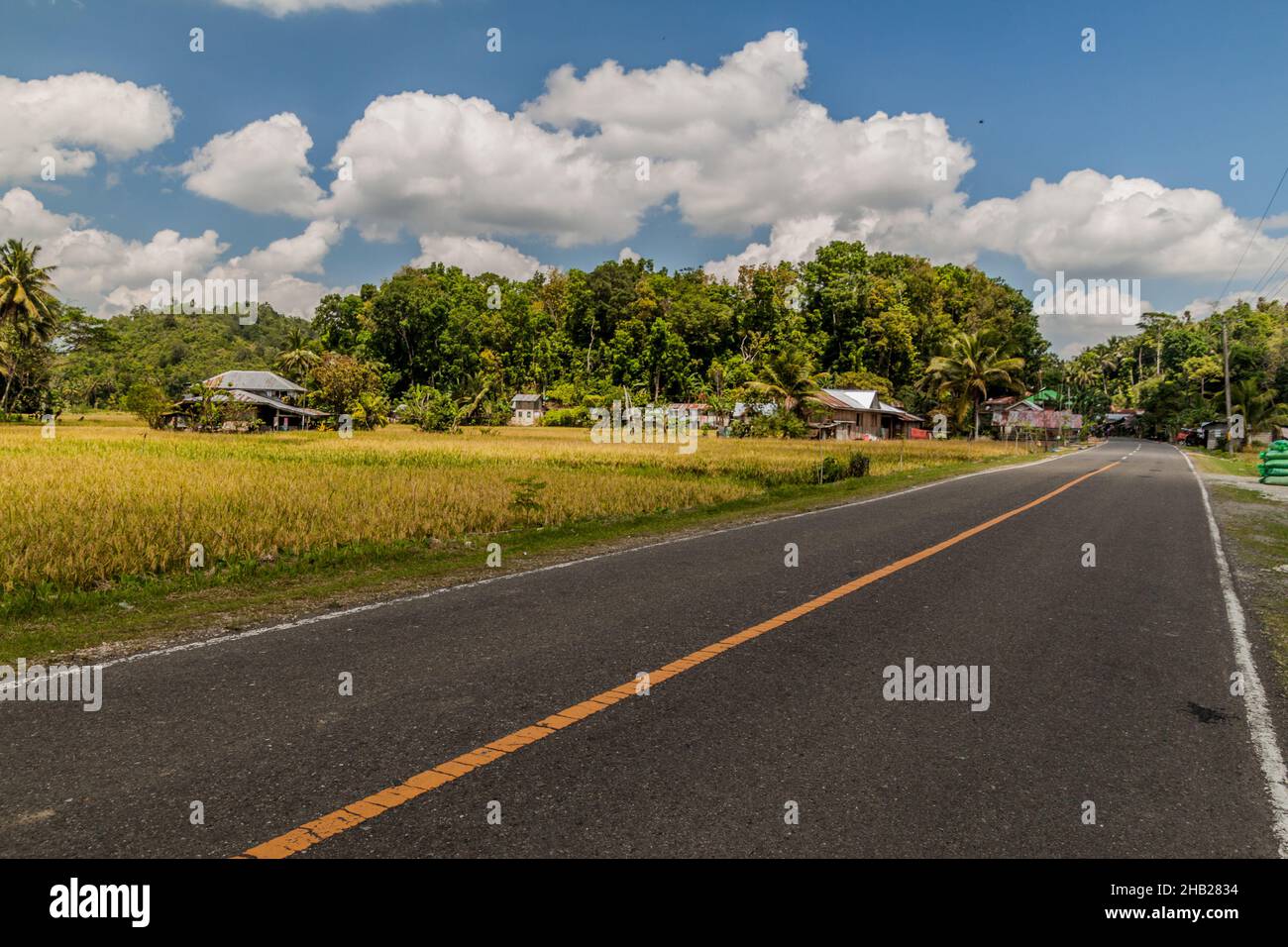 Road on Bohol island, Philippines Stock Photo - Alamy