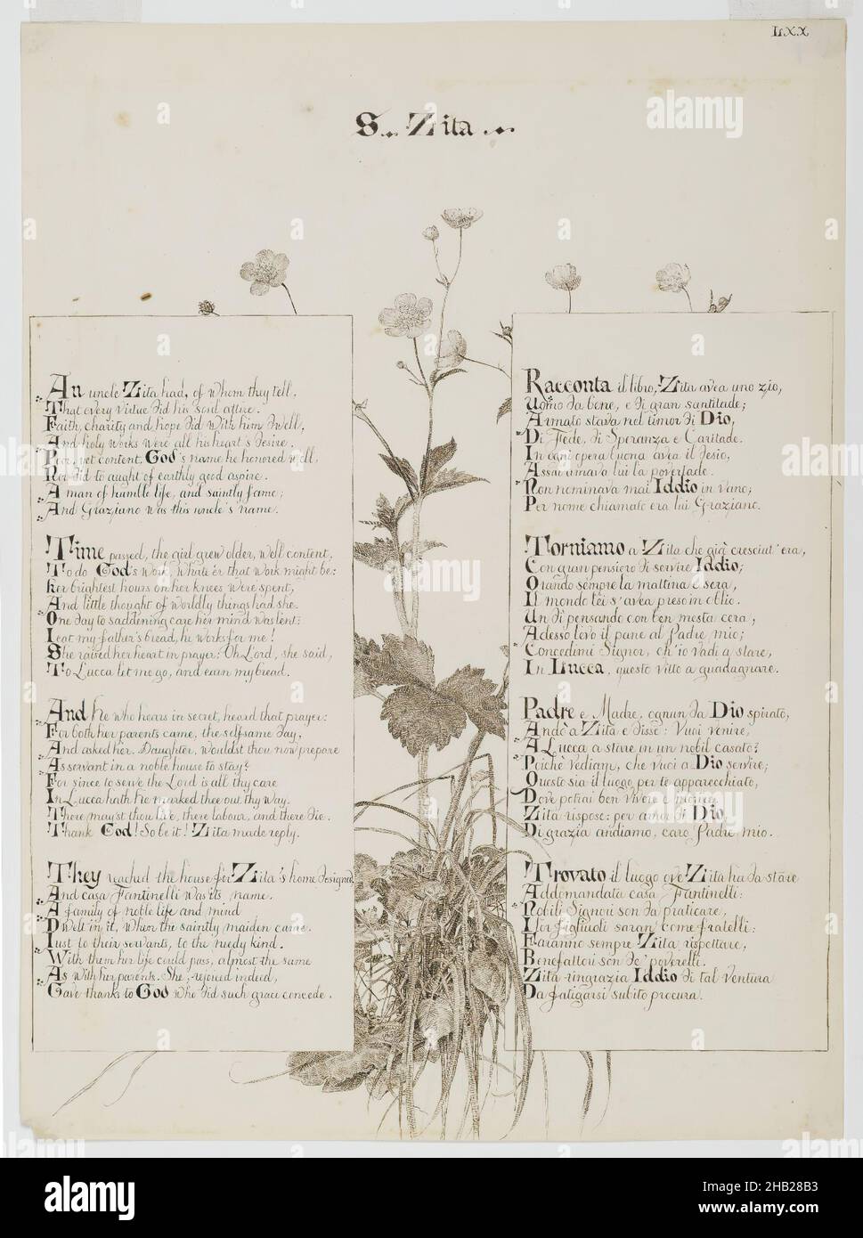 Zita of hi-res stock photography and images - Alamy