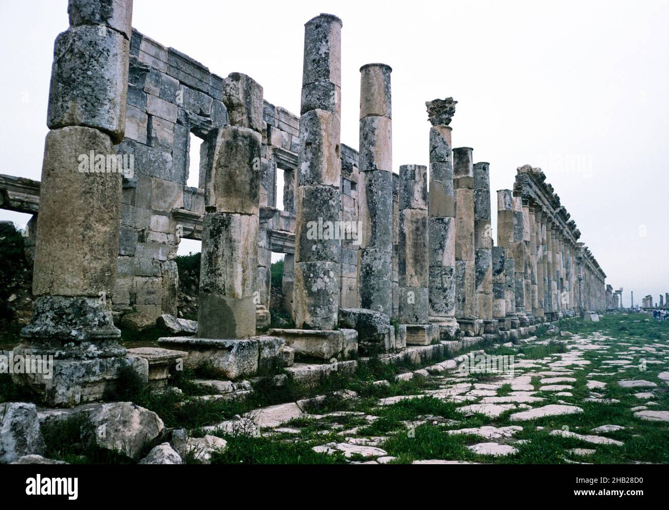 Ruins of Roman buildings at archaeological site of Apamea, Syria in ...