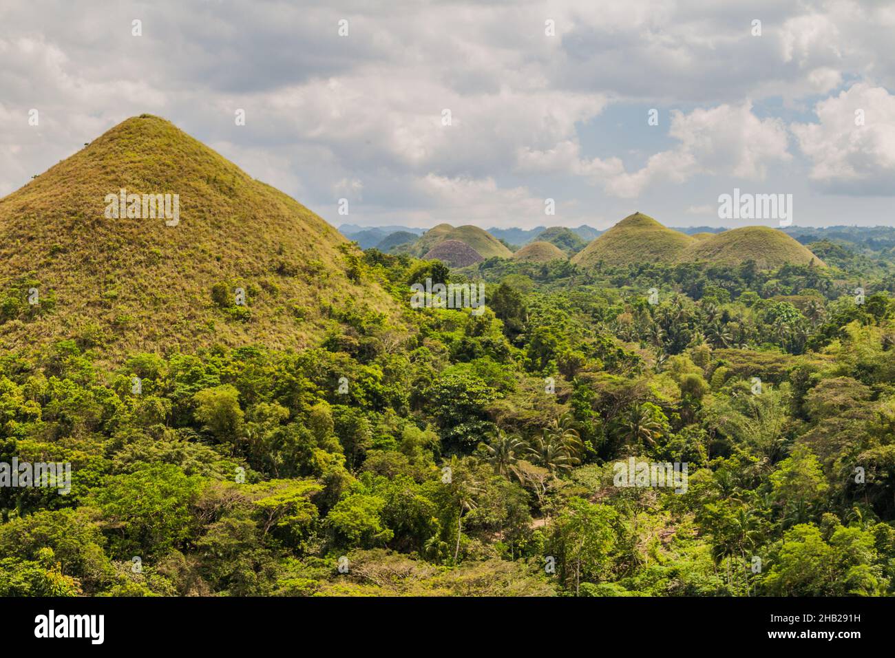 Geological formation The Chocolate Hills on Bohol island, Philippines ...