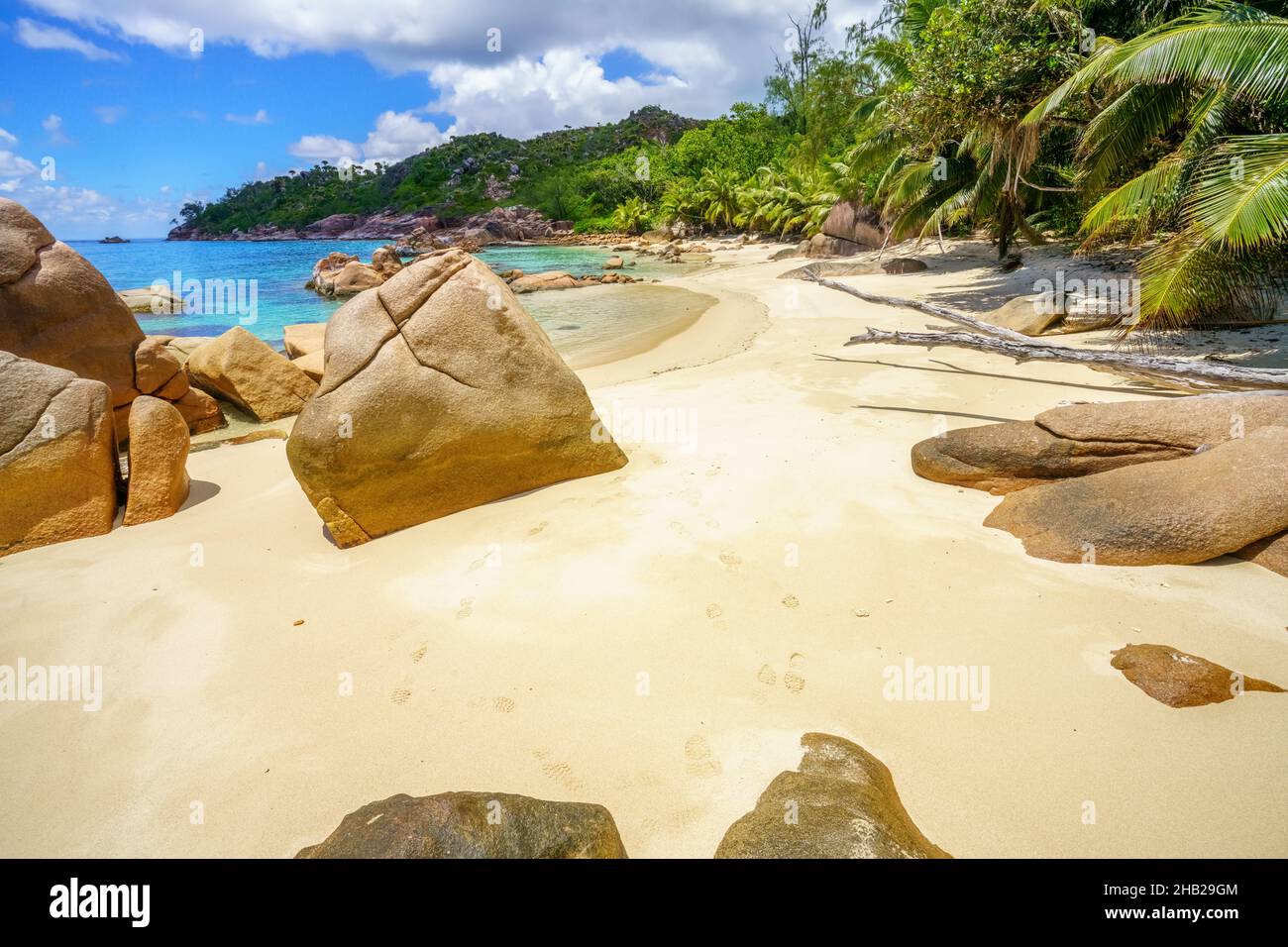 Badamier hi-res stock photography and images - Alamy