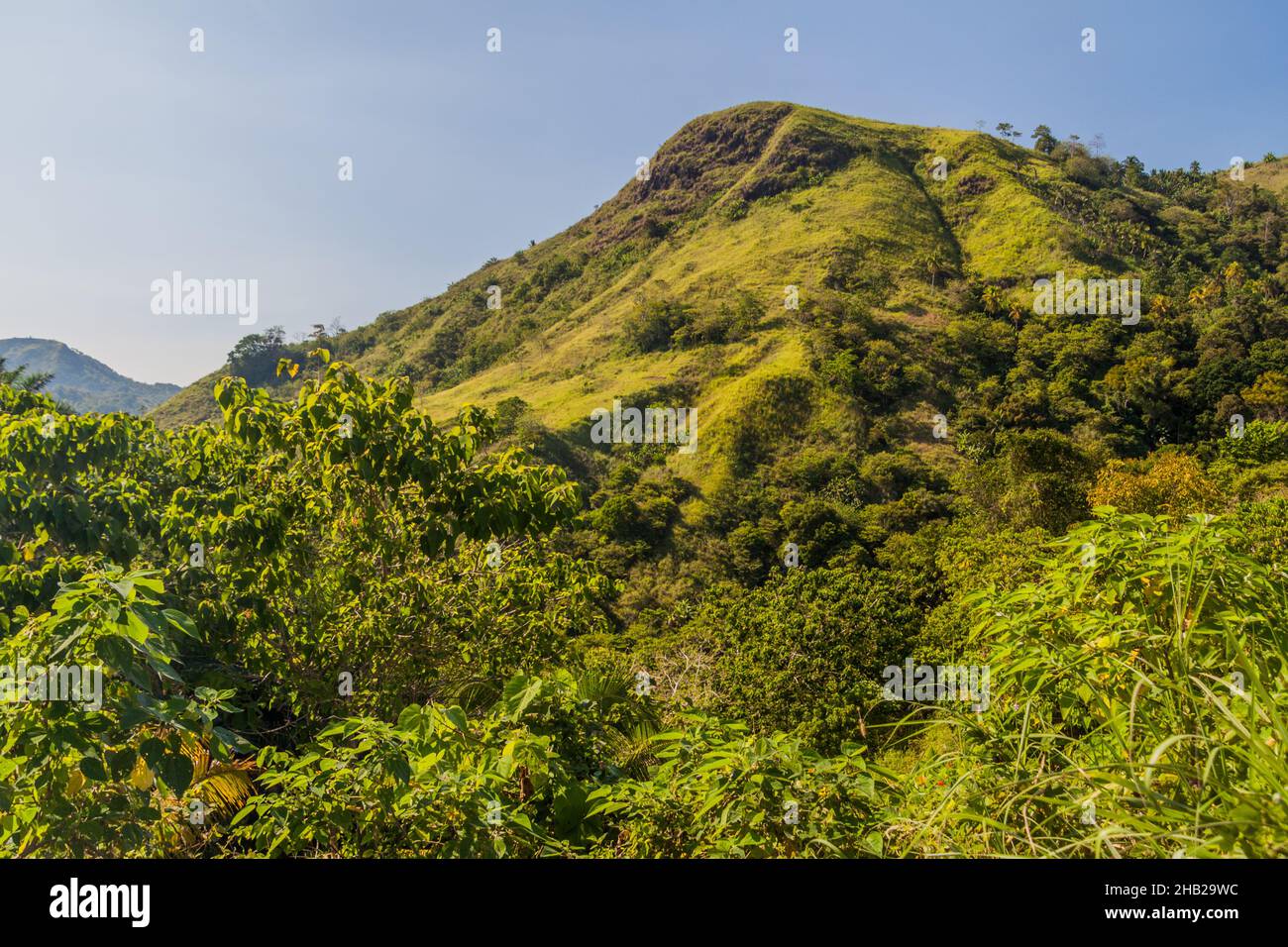 Landscape of Bohol island, Philippines Stock Photo - Alamy