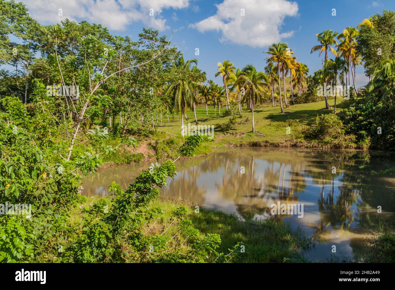 Landscape of Bohol island, Philippines Stock Photo - Alamy