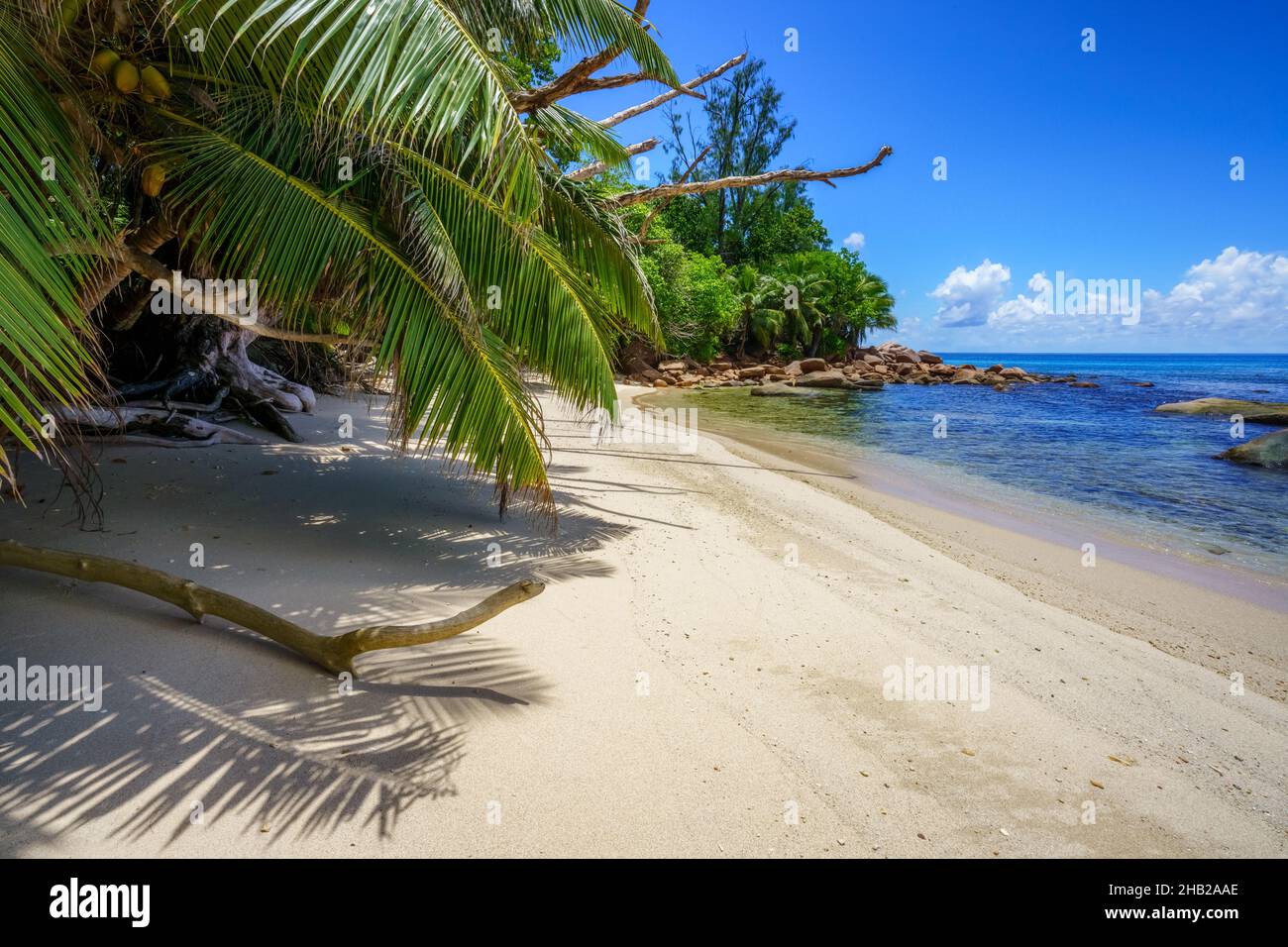 beautiful tropical beach anse badamier on curieuse island on the ...