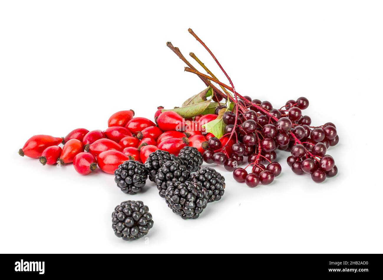 Different type of berry fruits isolated on white background Stock Photo ...