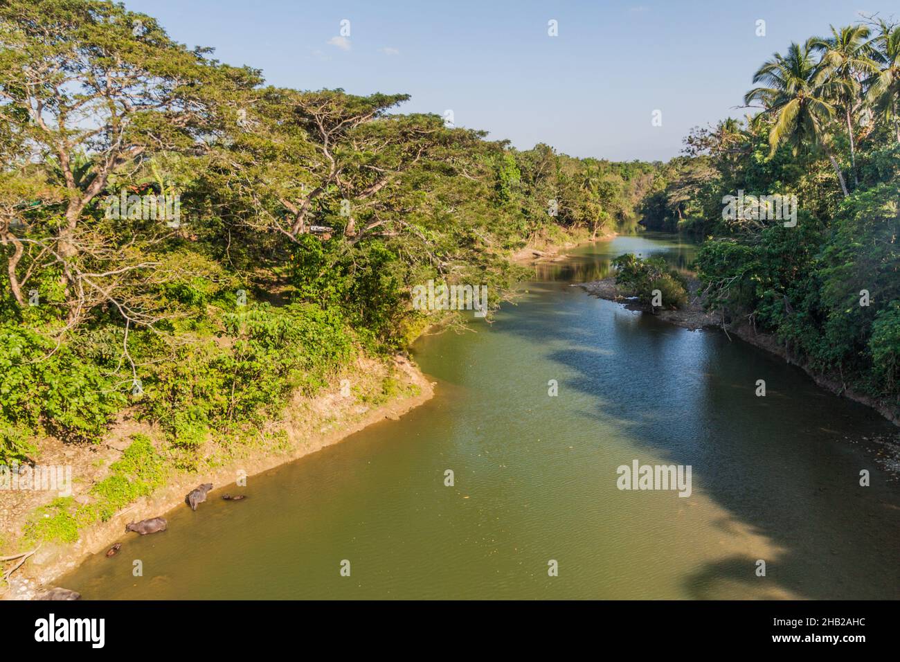 River on Bohol island, Philippines Stock Photo - Alamy