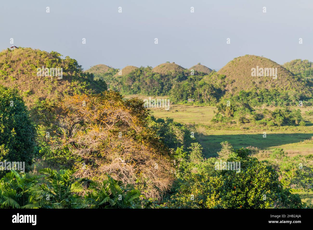 Geological formation The Chocolate Hills on Bohol island, Philippines ...