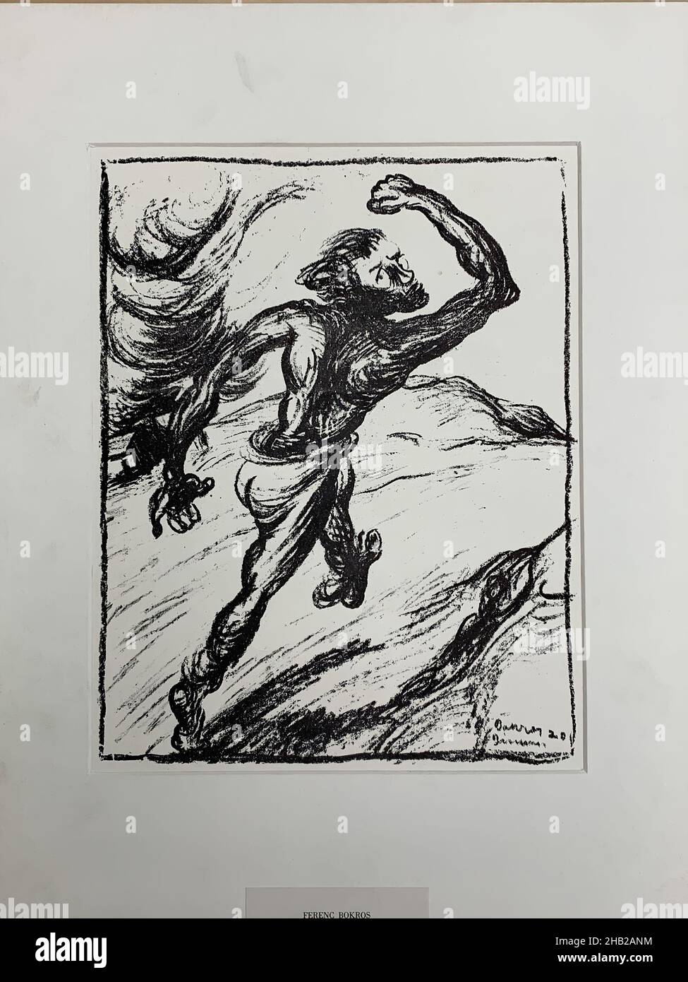 Bokros hi-res stock photography and images - Alamy