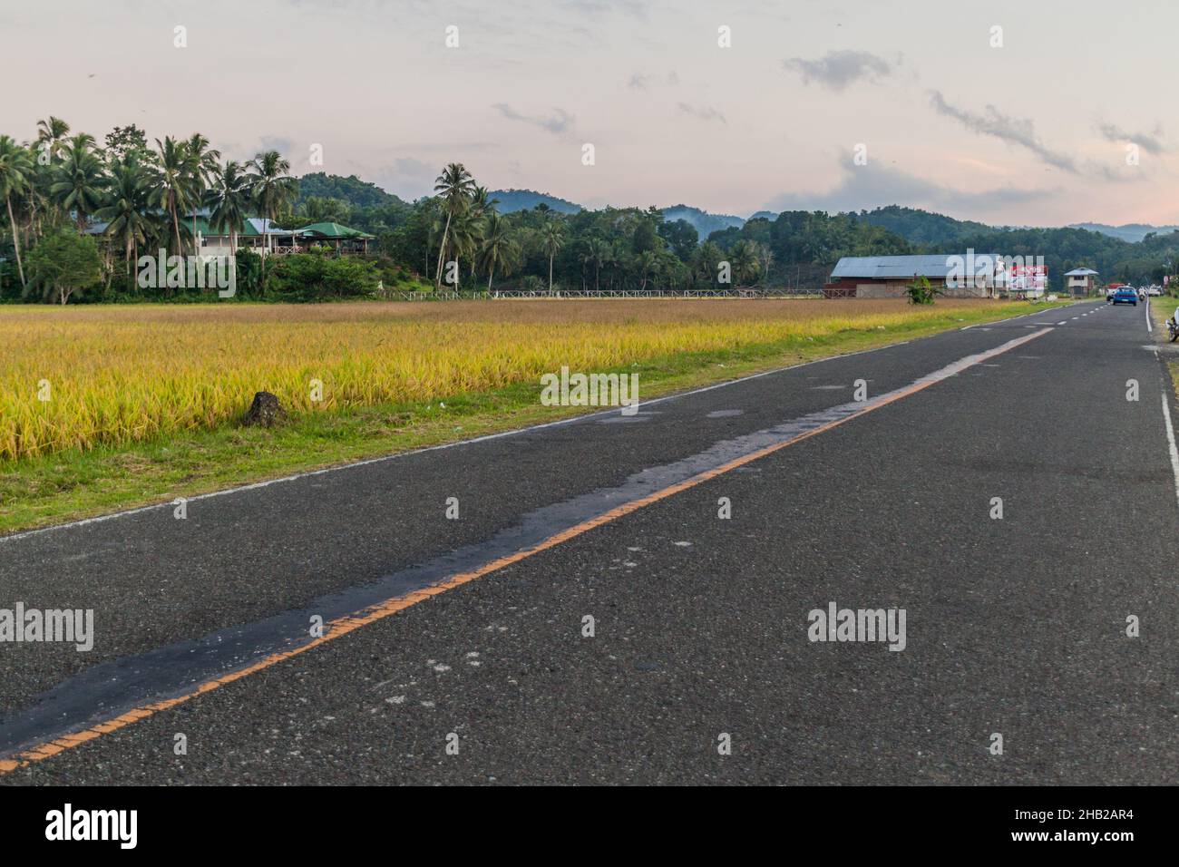 Evening view of a road on Bohol island, Philippines Stock Photo - Alamy