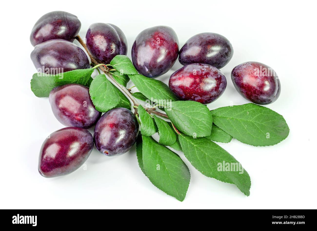 Red plum fruits isolated on white background Stock Photo - Alamy