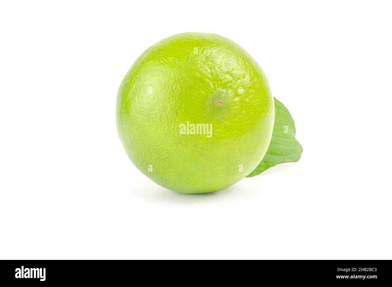 Whole lime isolated on white background Stock Photo - Alamy