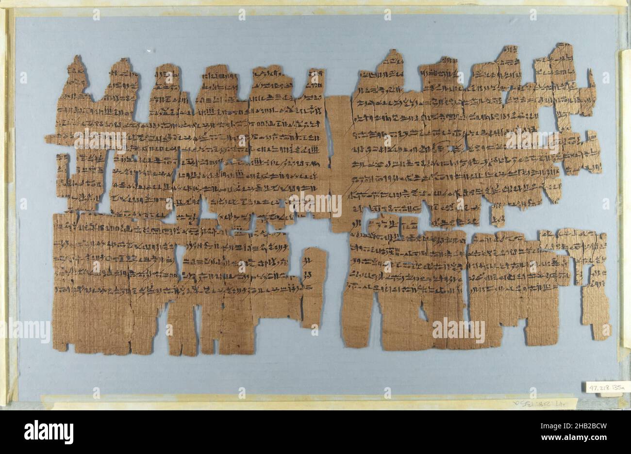 Brooklyn wisdom papyrus hi-res stock photography and images - Alamy