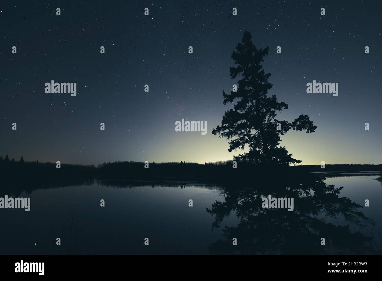 Stars in Night Sky over Astotin Lake, Elk Island National Park, Alberta ...
