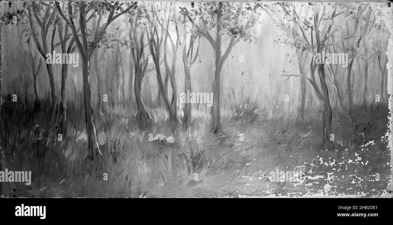 Landscape, Trees, 15 × 30 in., 38.1 × 76.2 cm, grass, landscape, plants ...