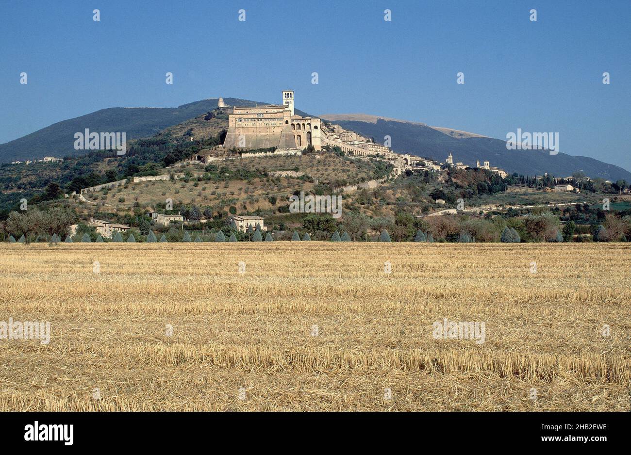 EXTERIOR-VISTA PANORAMICA DE LA BASILICA DE SAN FRANCISCO DE ASIS ...
