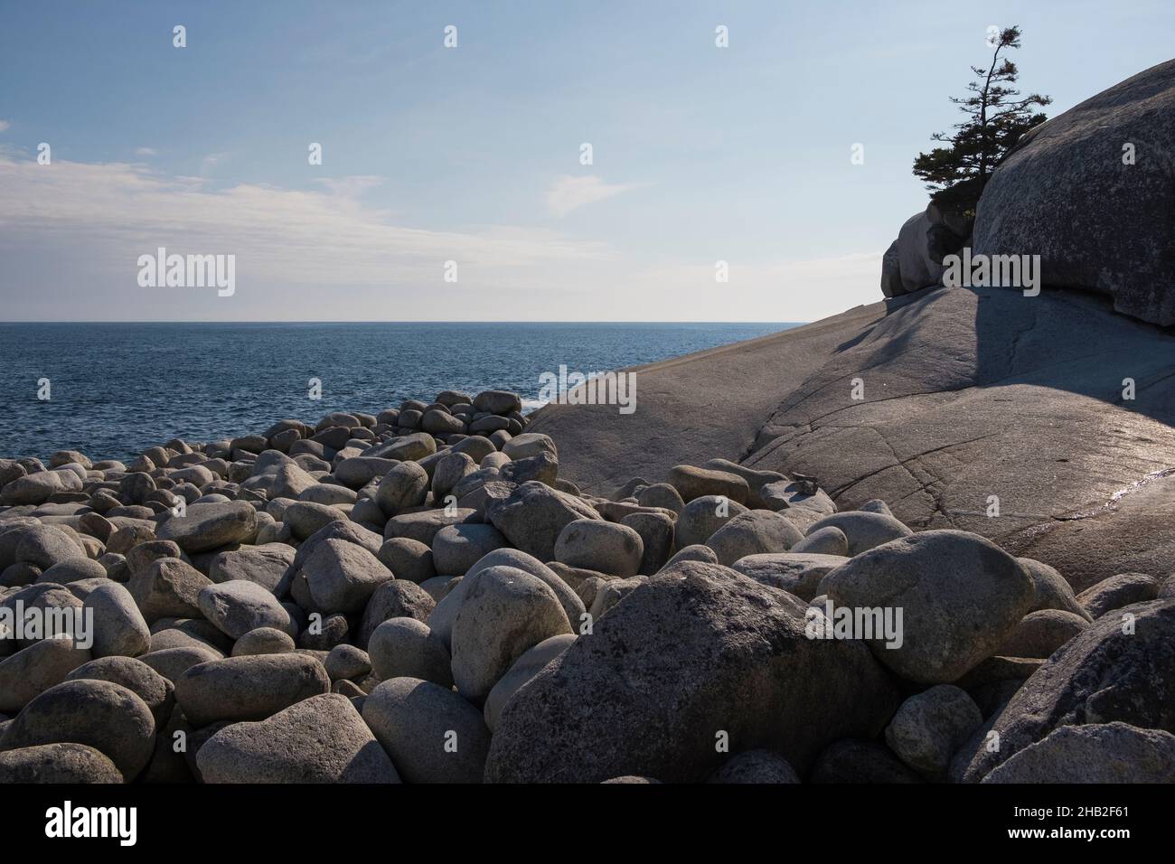 Atlantic canada ecosystem hi-res stock photography and images - Alamy