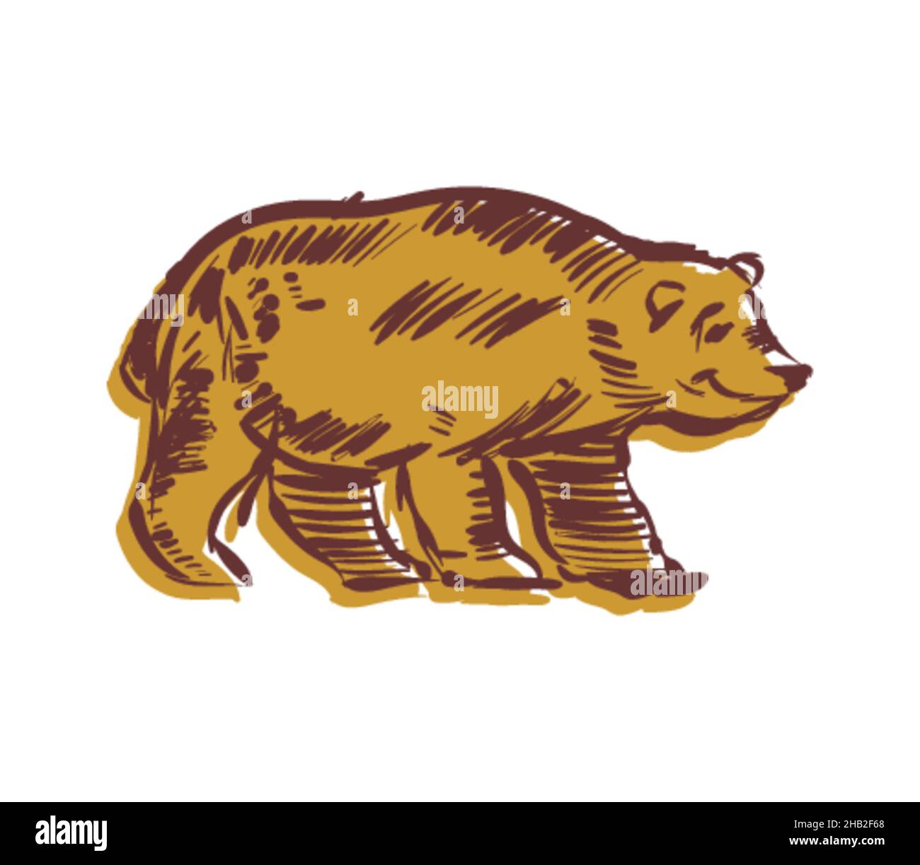 Bear Hand drawing. Beast engraving. vector illustration Stock Vector ...