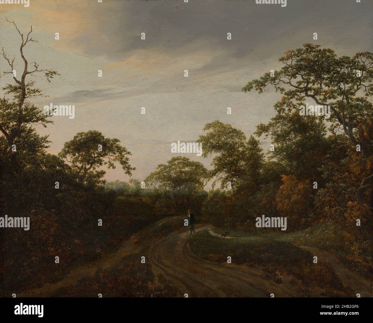Road in a forest landscape at twilight, Jacob van Ruisdael, c. 1648 ...