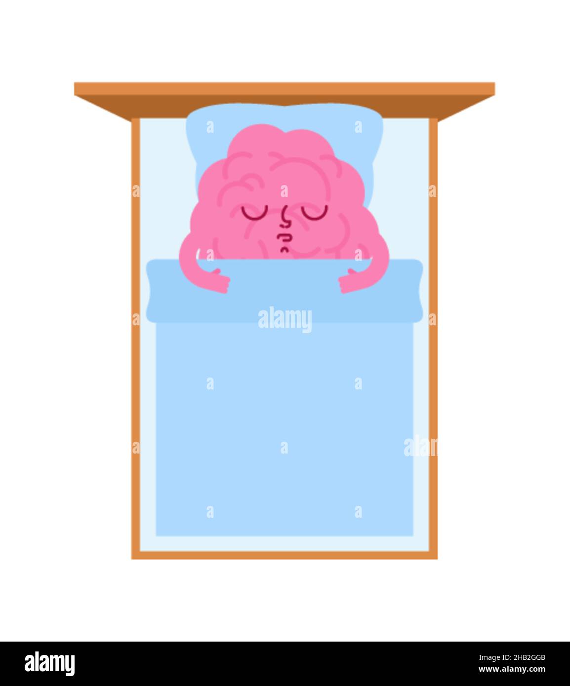 Sleeping brain isolated. Brains go to sleep. vector illustration Stock ...