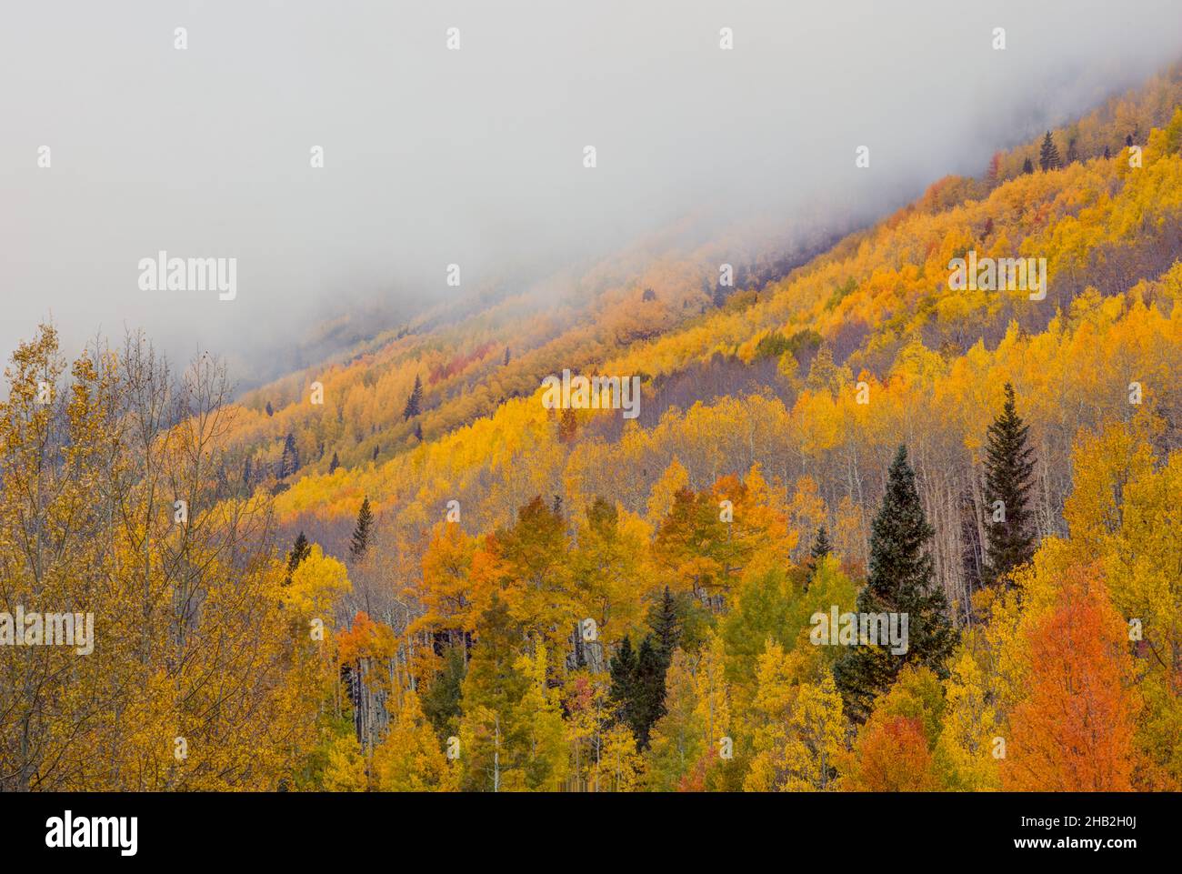 Scenic autumn landscape images in Colorado Stock Photo - Alamy