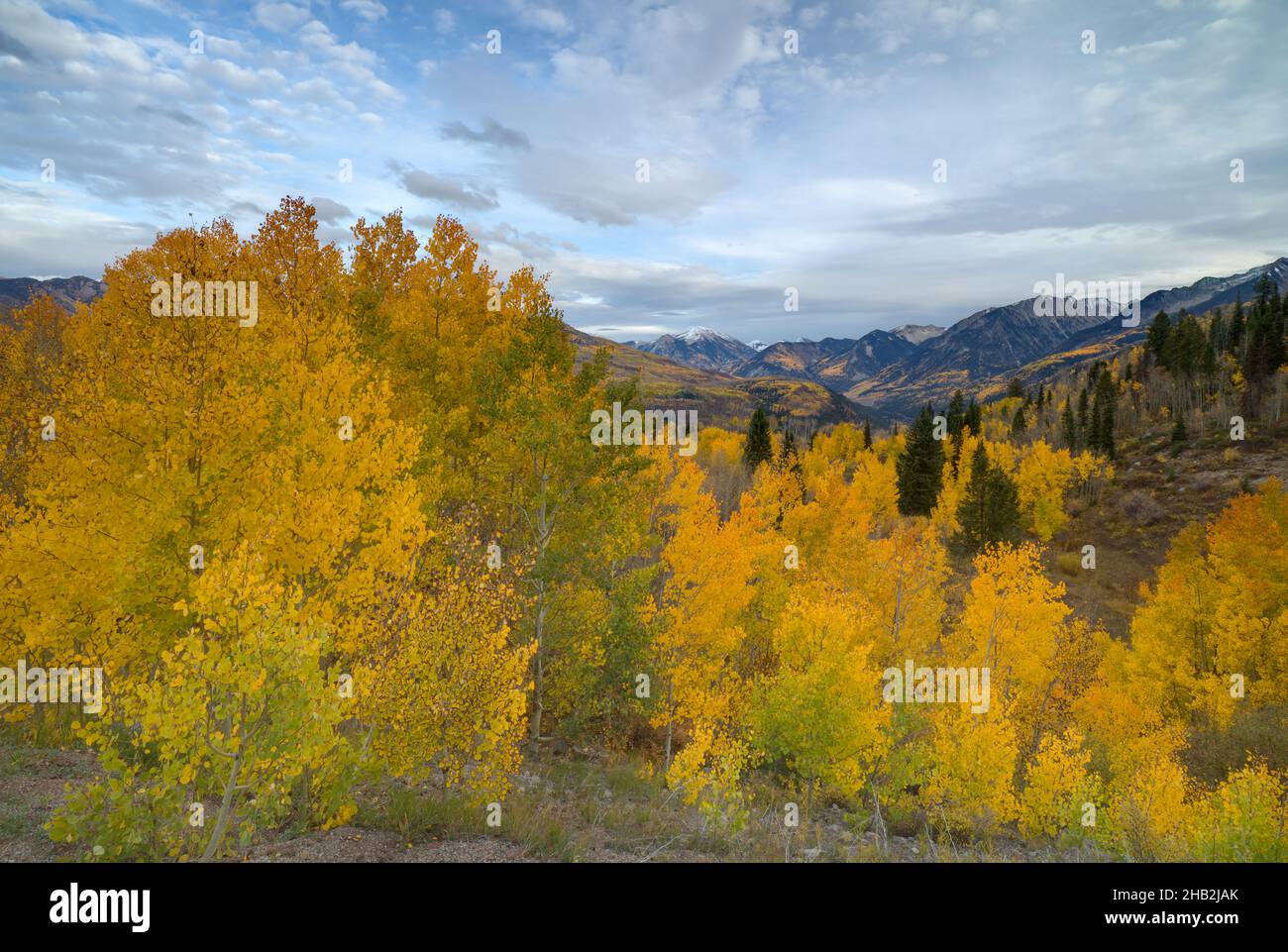 Scenic autumn landscape images in Colorado Stock Photo - Alamy