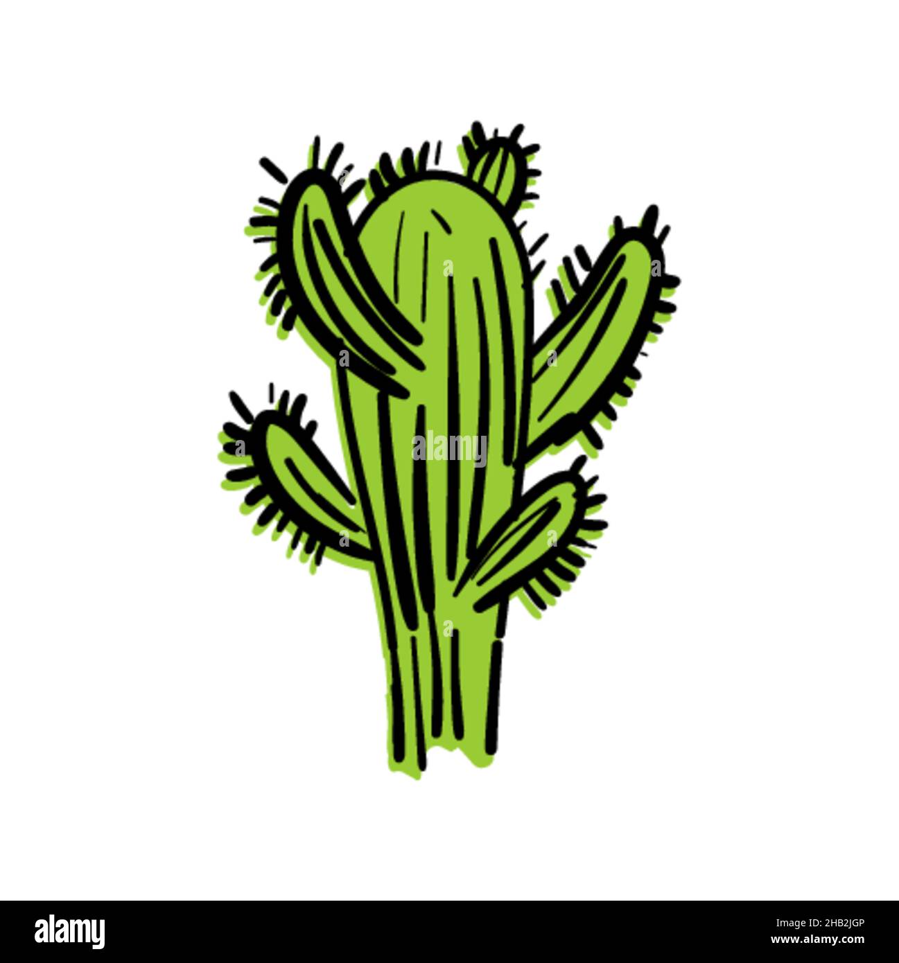 Cactus Hand drawing isolated. Cactus in desert vector illustration ...
