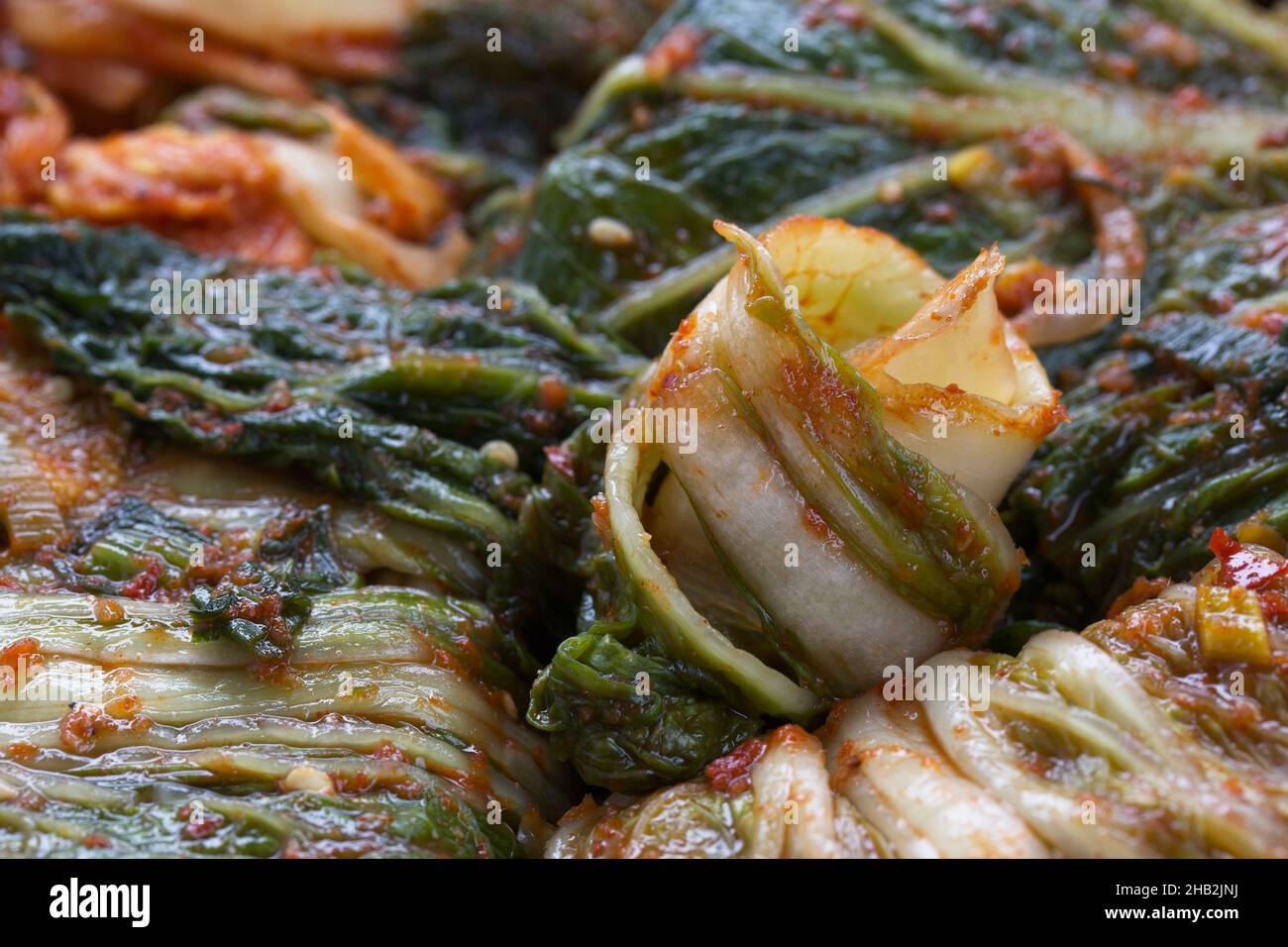 A close up still life photo of freshly made kimchi. A staple side dish ...