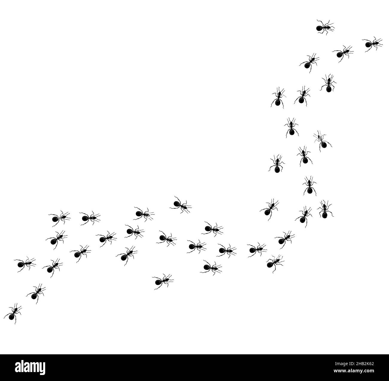 From above at home Stock Vector Images - Alamy