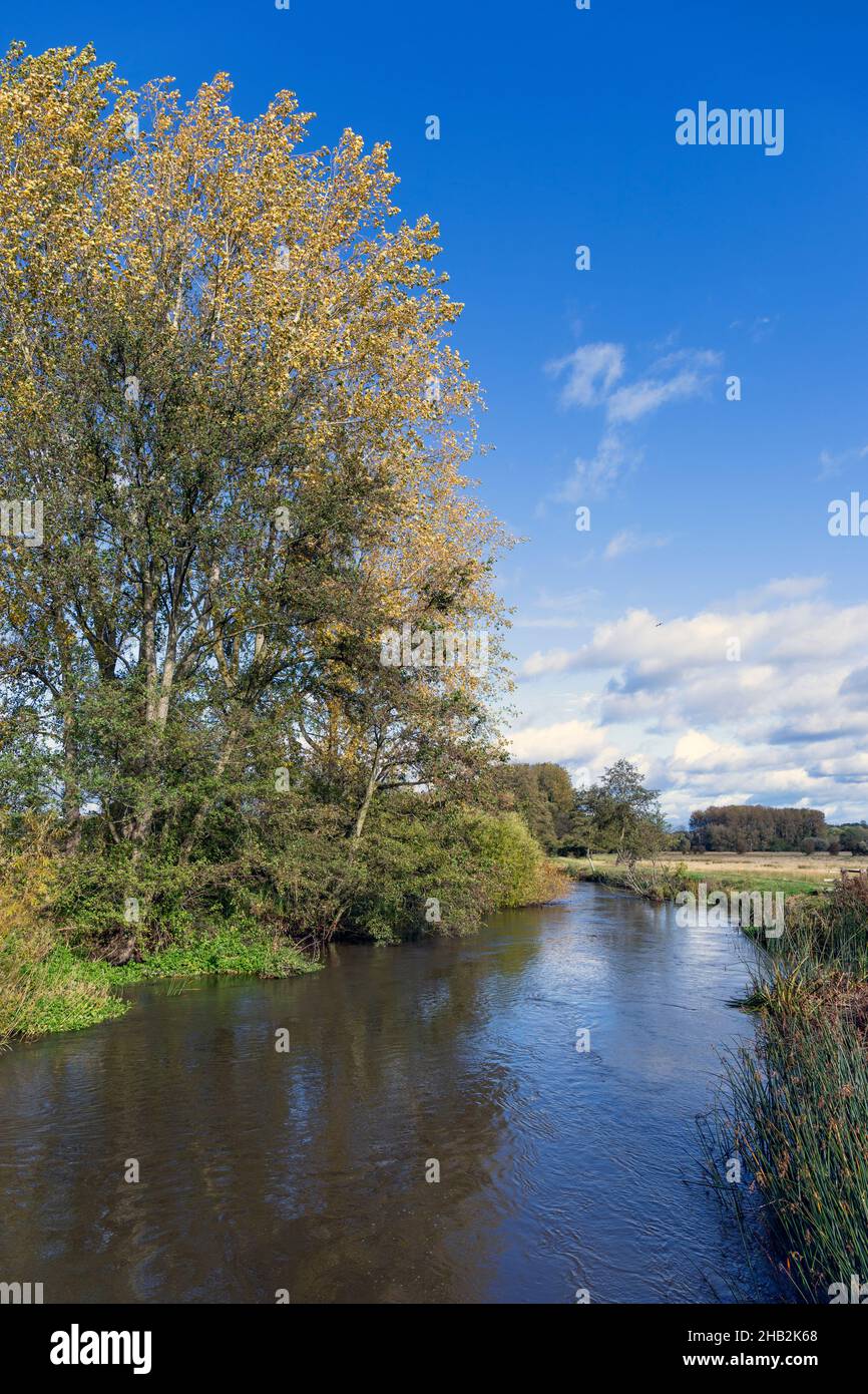 UK, England, Berkshire, Sulhamstead, The Kennet & Avon Canal near Ufton ...