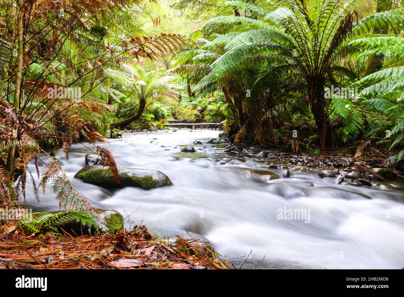 Stream of a wild river in long exposure Stock Photo - Alamy