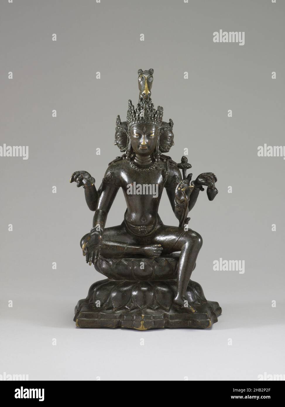 Karkota hi-res stock photography and images - Alamy