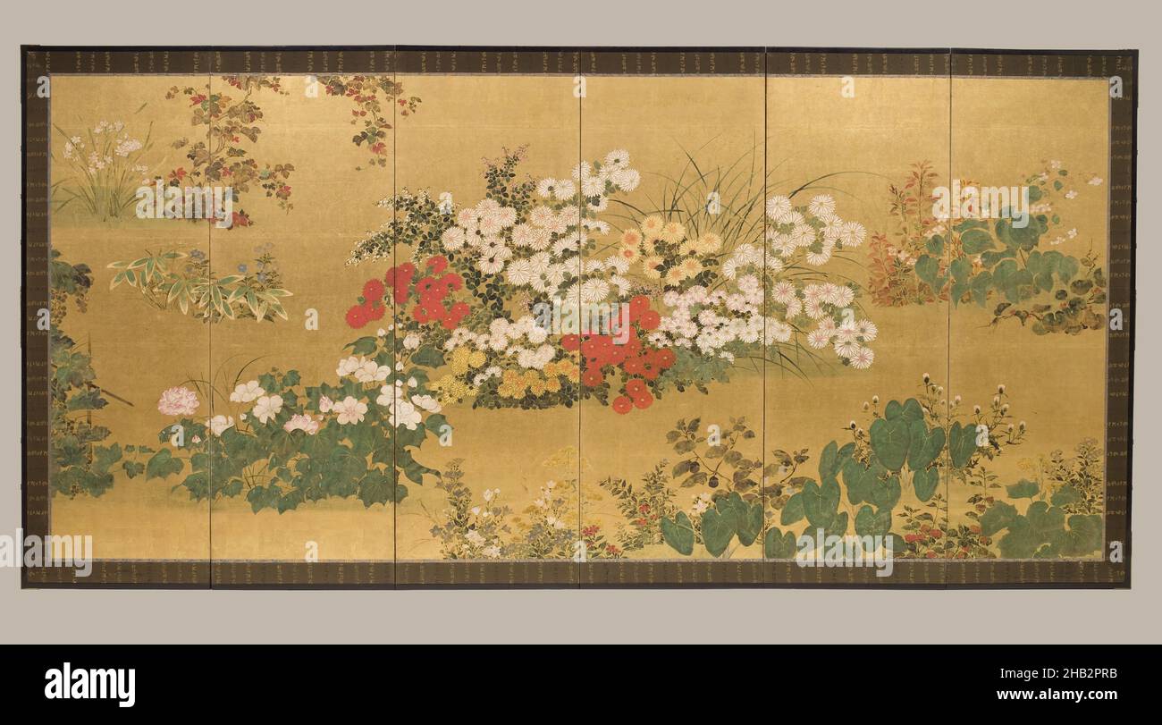 165 x 355 cm hi-res stock photography and images - Alamy