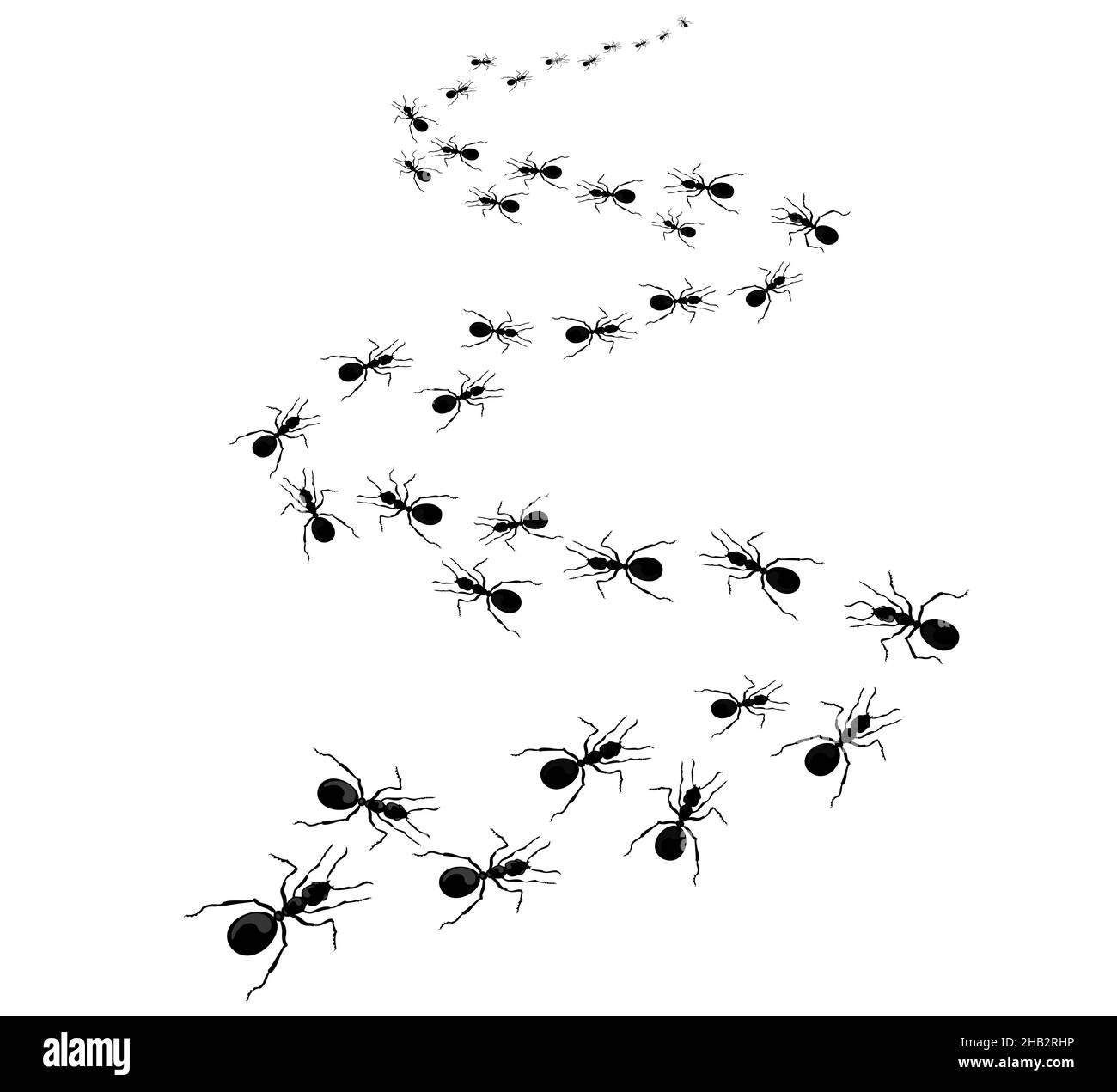 A path of ants running away into the distance, from larger to smaller ...