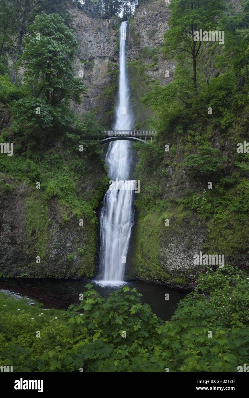 Scenic landscape images of waterfalls and coastline of Oregon Stock ...