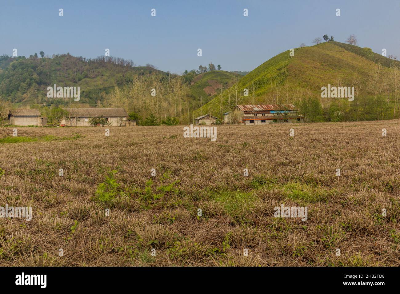 Lahijan hi-res stock photography and images - Alamy