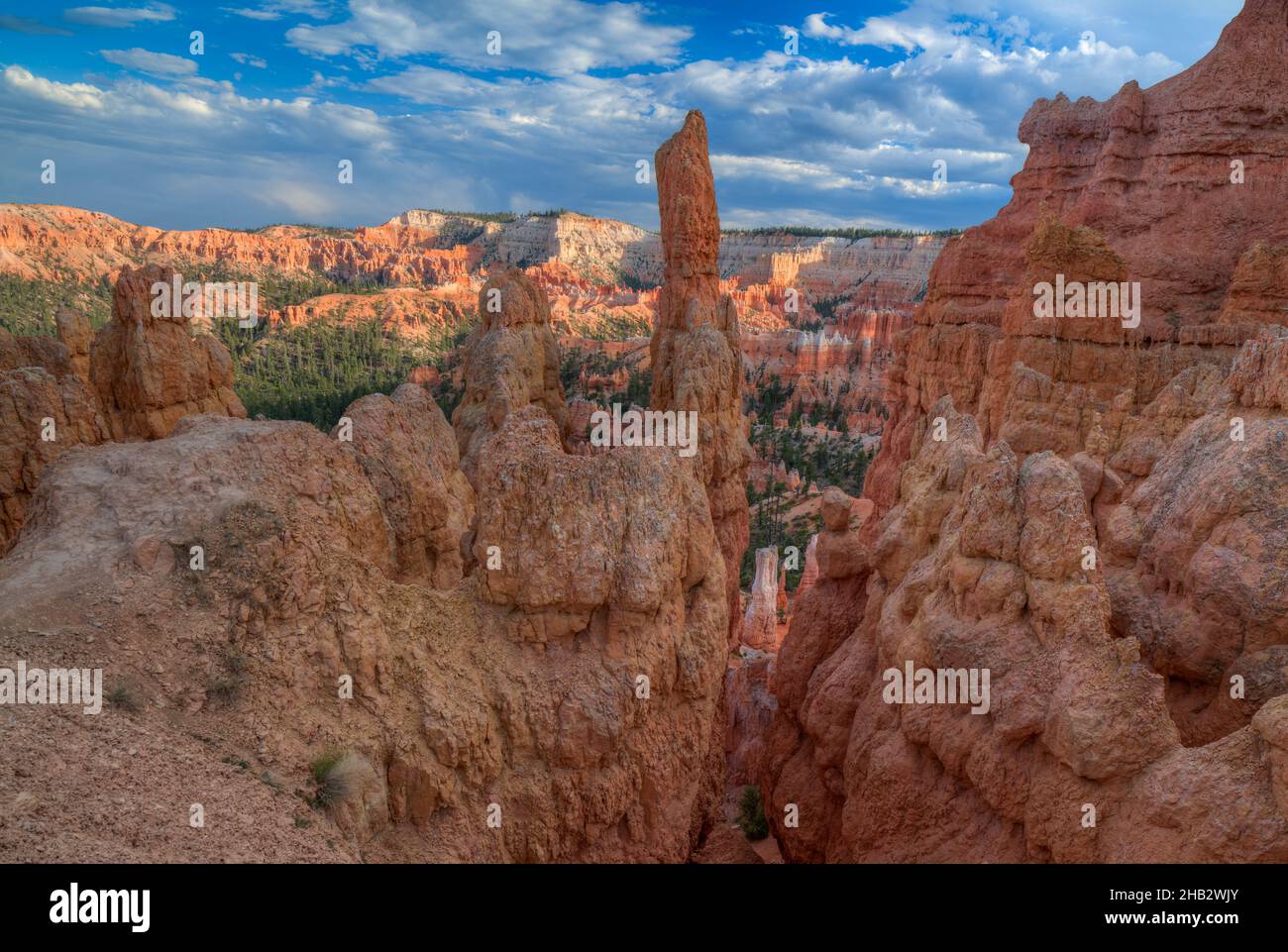 Scenic images of colored rock cliffs within Arches, Bryce Canyon, and ...