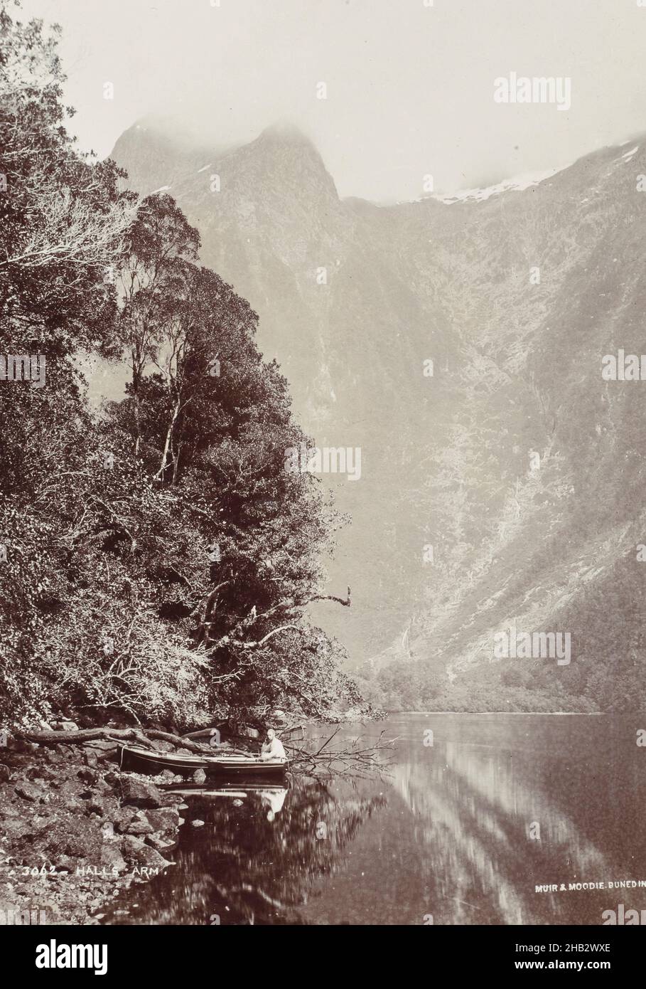 Hall's Arm, Muir & Moodie studio, printer, circa 1900, Dunedin, albumen ...
