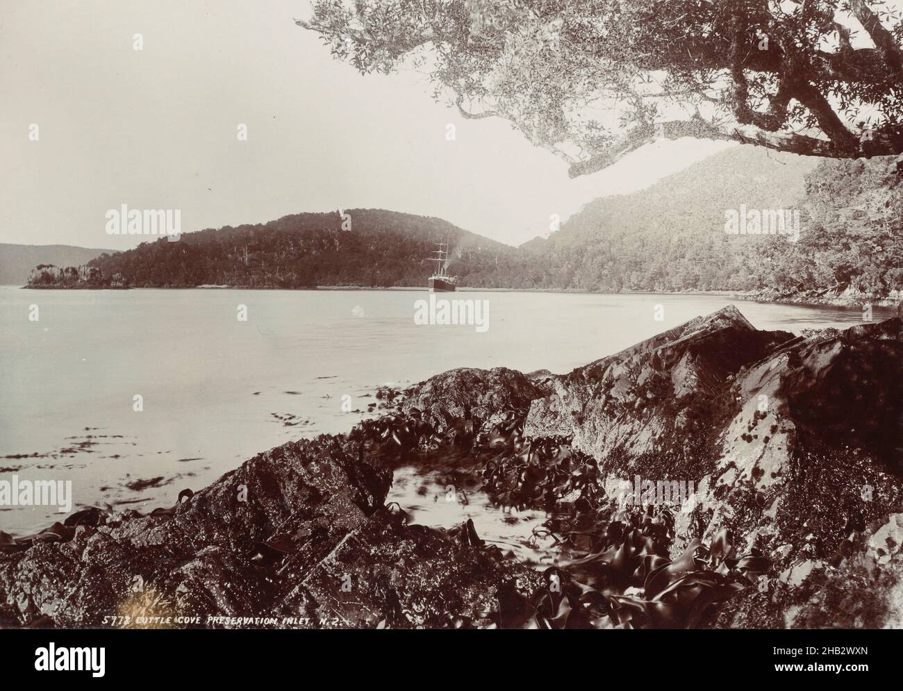 Preservation inlet cuttle cove hi-res stock photography and images - Alamy