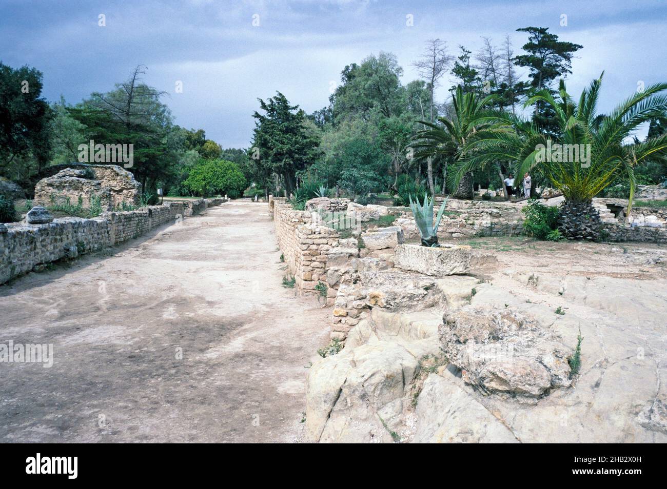 Carthage tunis tunisia hi-res stock photography and images - Alamy