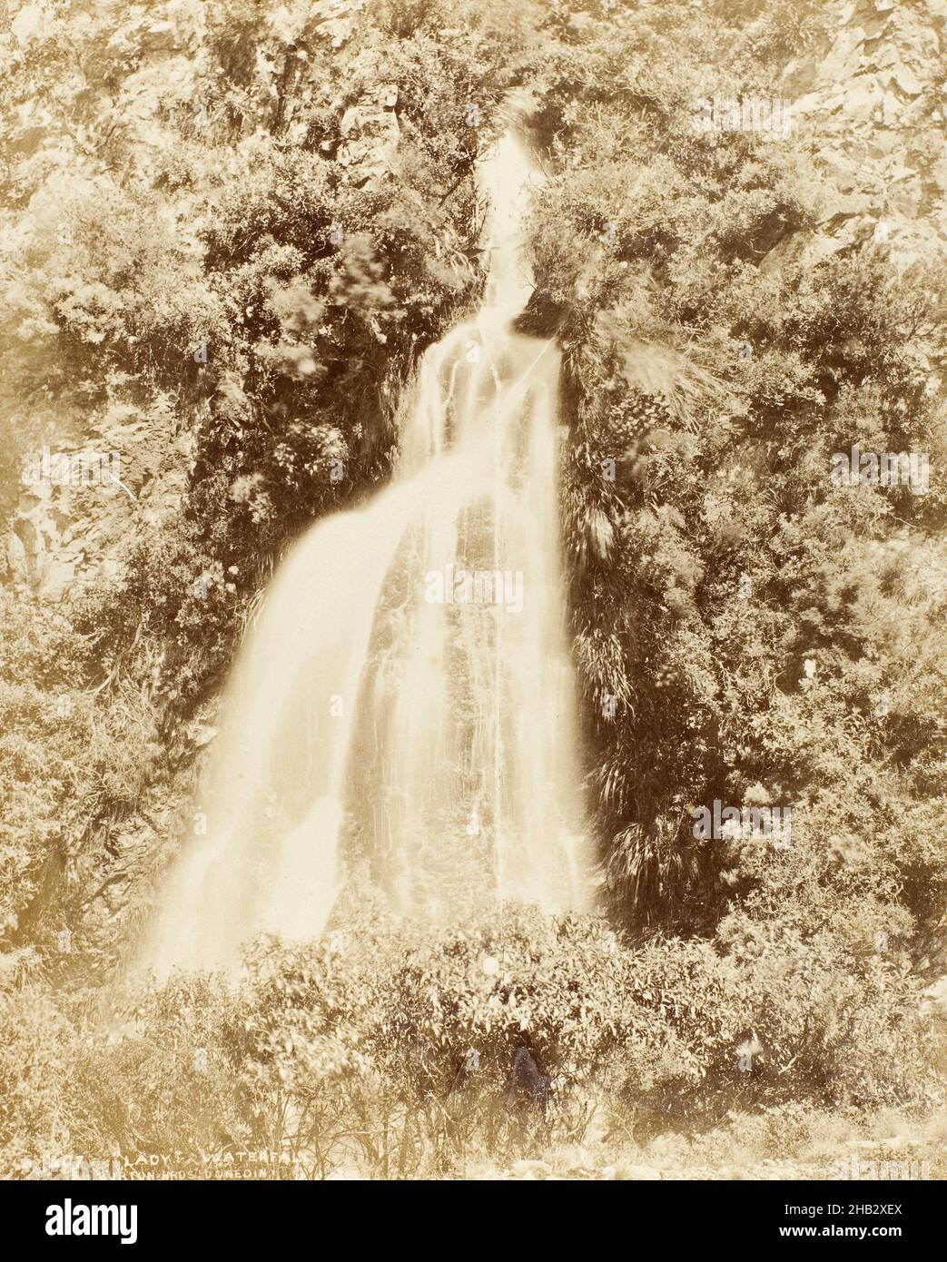 Lady burton hi-res stock photography and images - Alamy