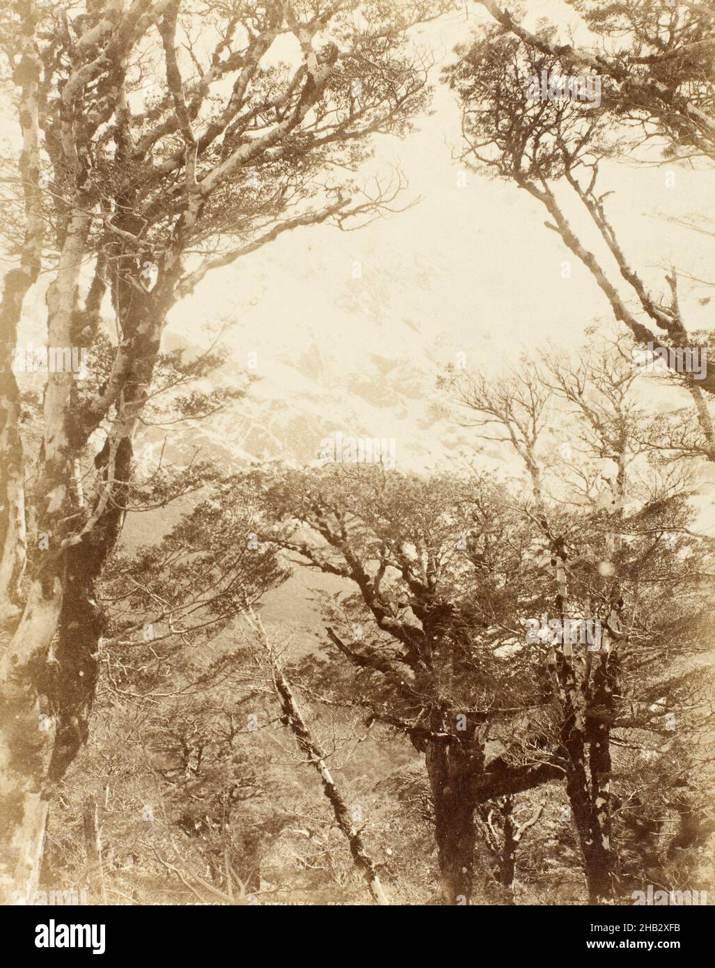 Mount rolleston mount rolleston hi-res stock photography and images - Alamy