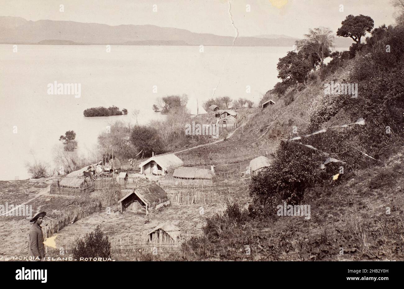 Mokoia Island - Rotorua, Burton Brothers studio, photography studio ...