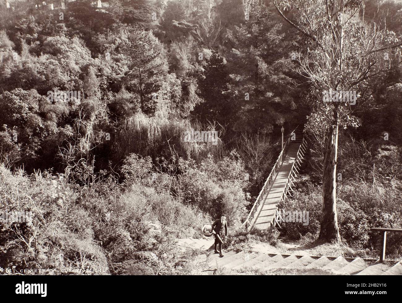Auckland cemetery gully hi-res stock photography and images - Alamy