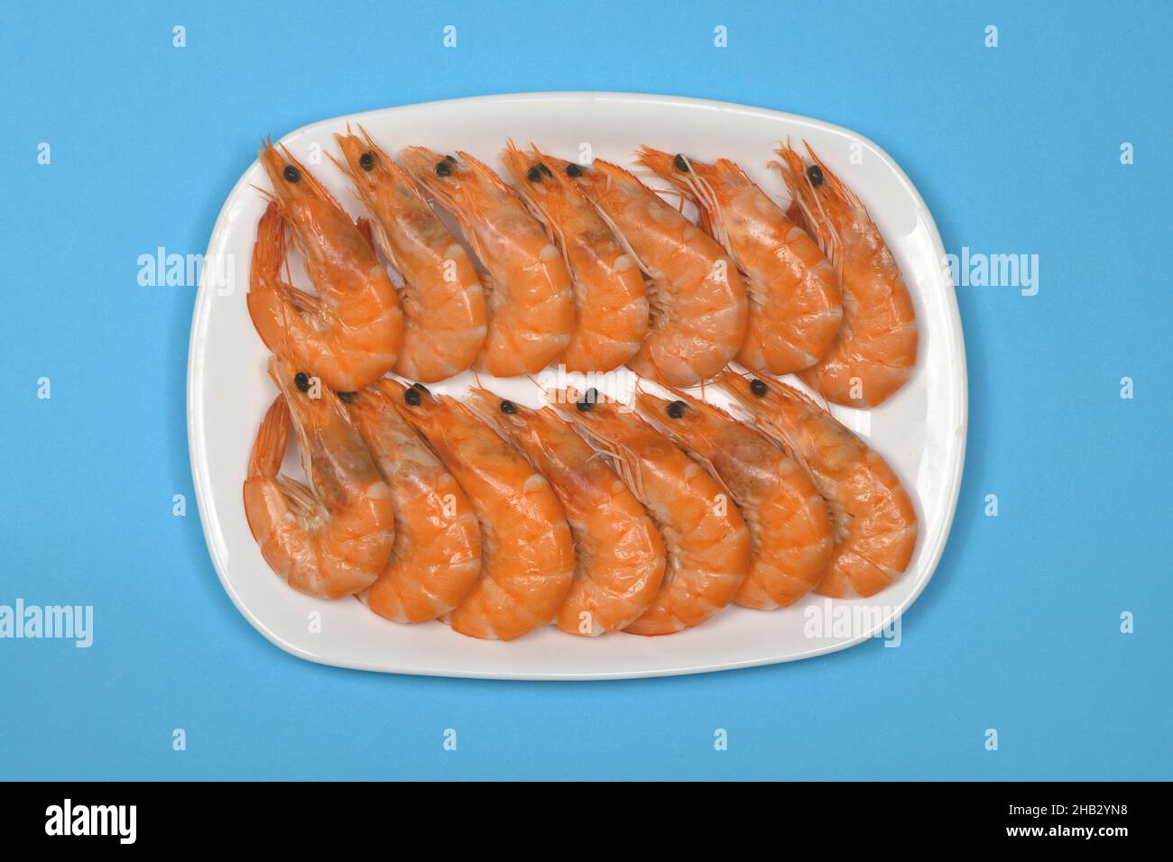 Perfectly retouched shrimp isolated on white. High resolution photo ...