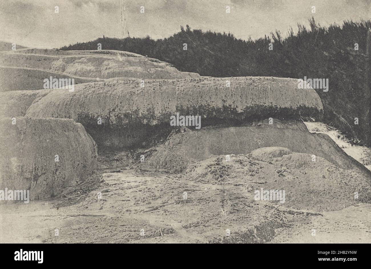 Pink Terrace Rotomahana, Muir & Moodie studio, publisher Stock Photo ...