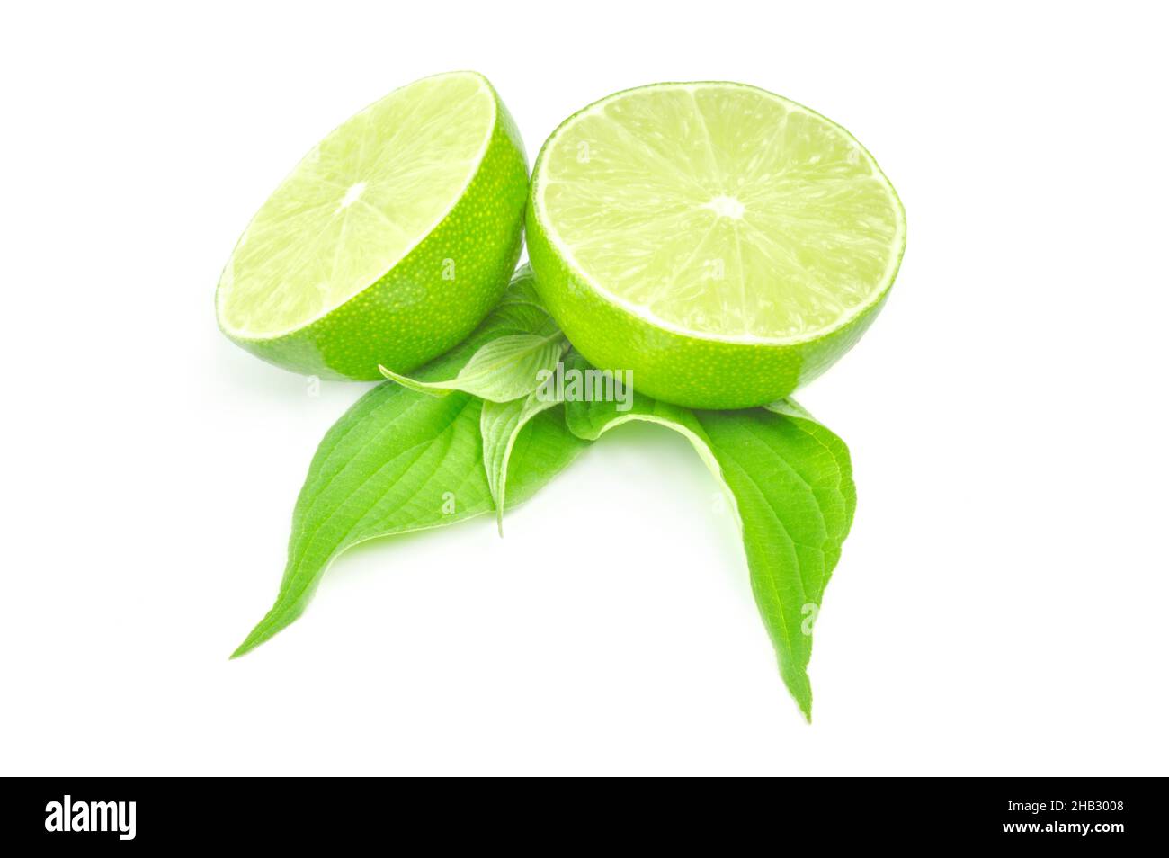 Two half of fresh lime with leaves isolated on white background Stock ...