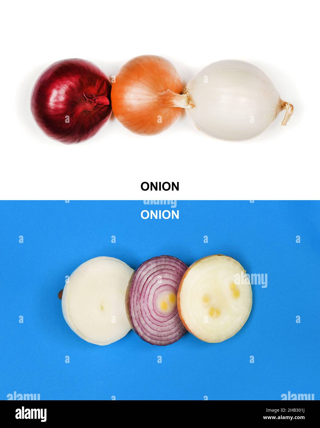 Creative layout made of three onion bulbs of different colors (red ...