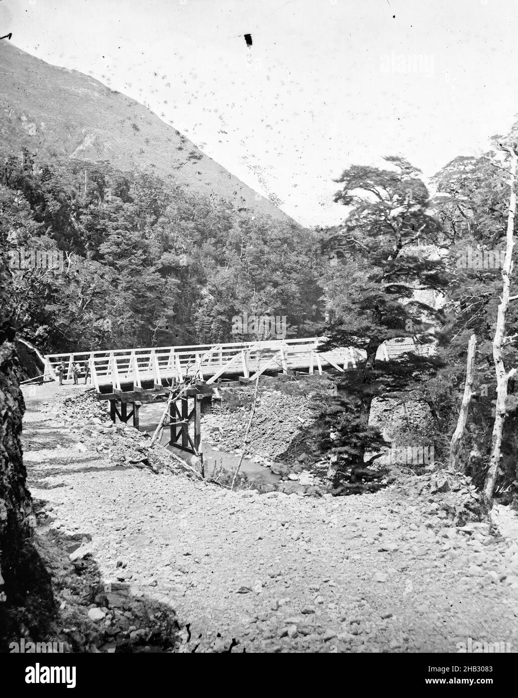 Bridge over Bealey, looking down, Burton Brothers studio, photography ...