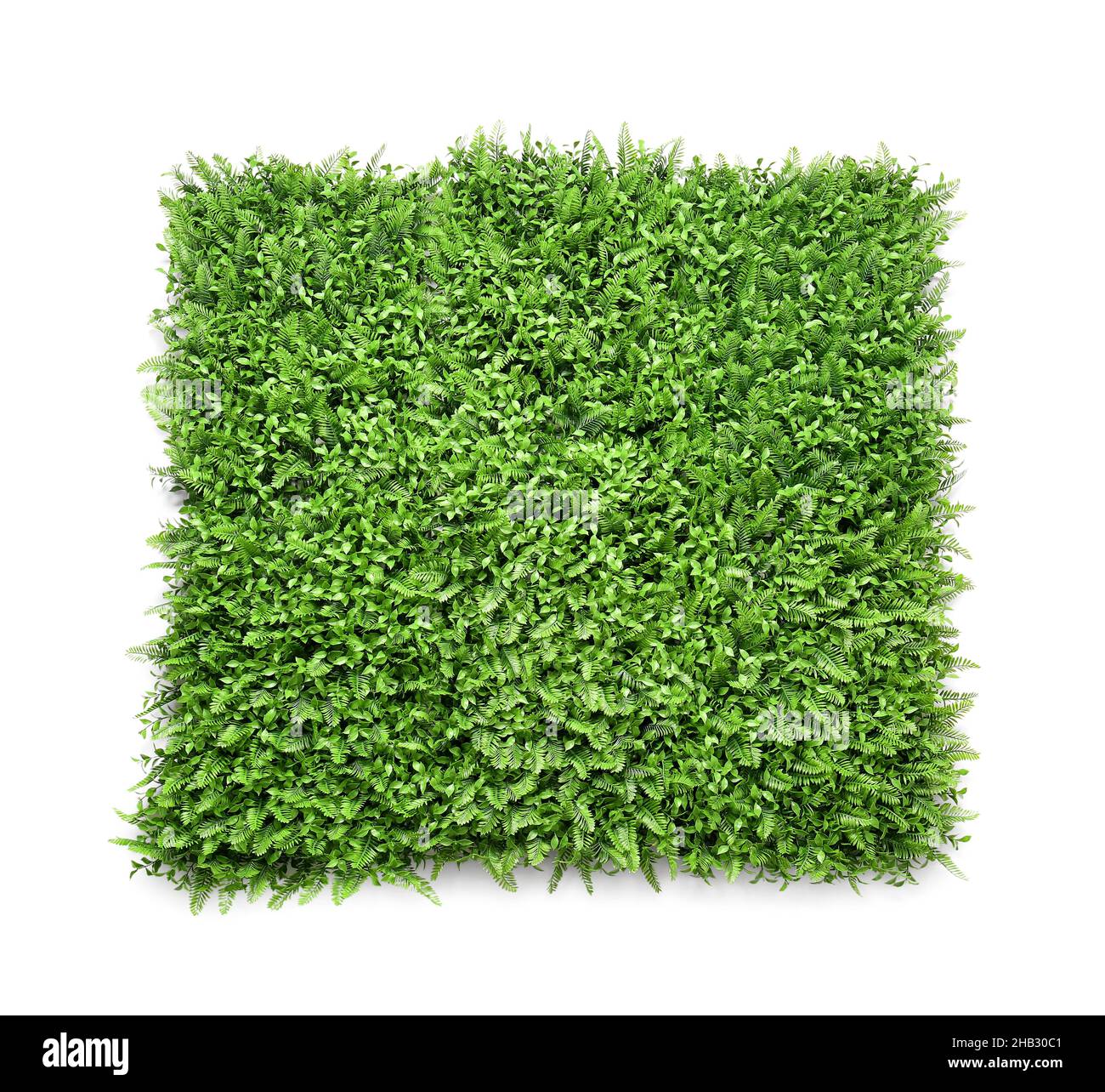 Green grass mat on white background Stock Photo - Alamy